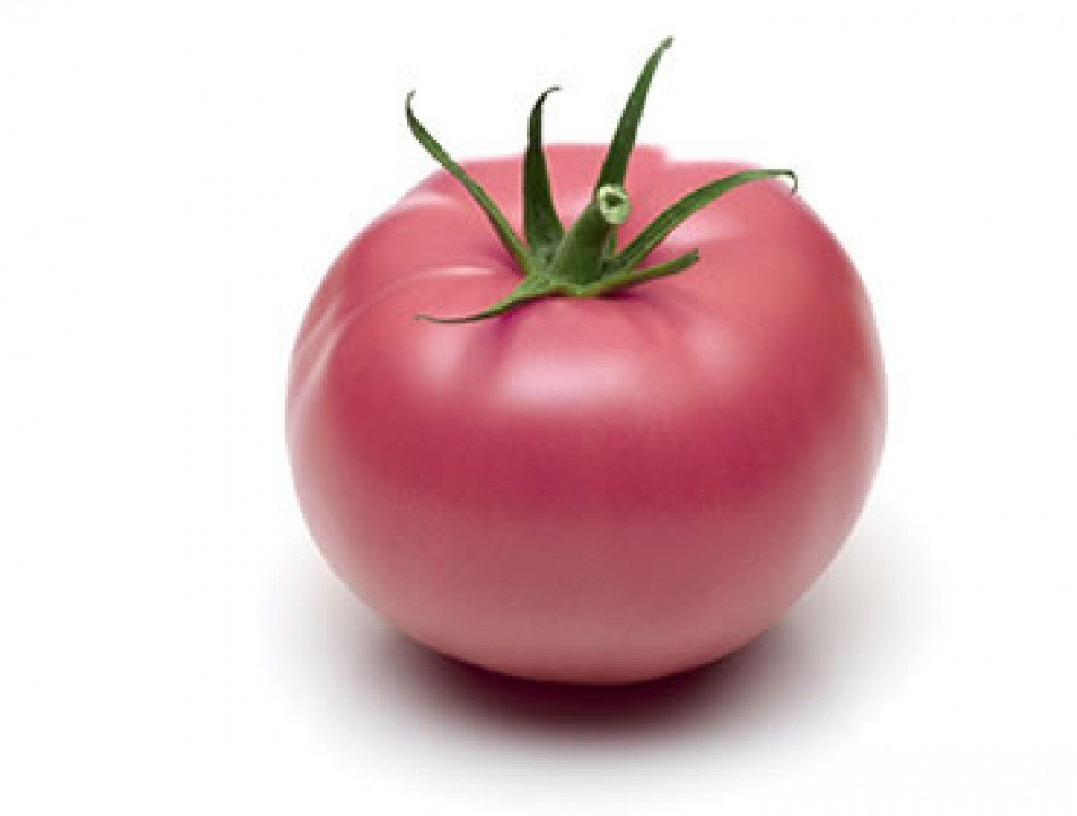 Tomate Rose De Berne
