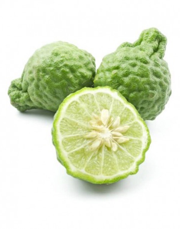 Combava - Citrus hystrix - Le Jardin du Pic Vert